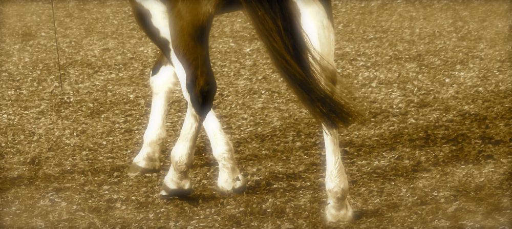 Seitwärts unterwegs – Vorbereitungen für Seitengänge, Teil 1